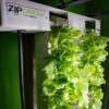 FarmWall Archives | ZipGrow Inc.