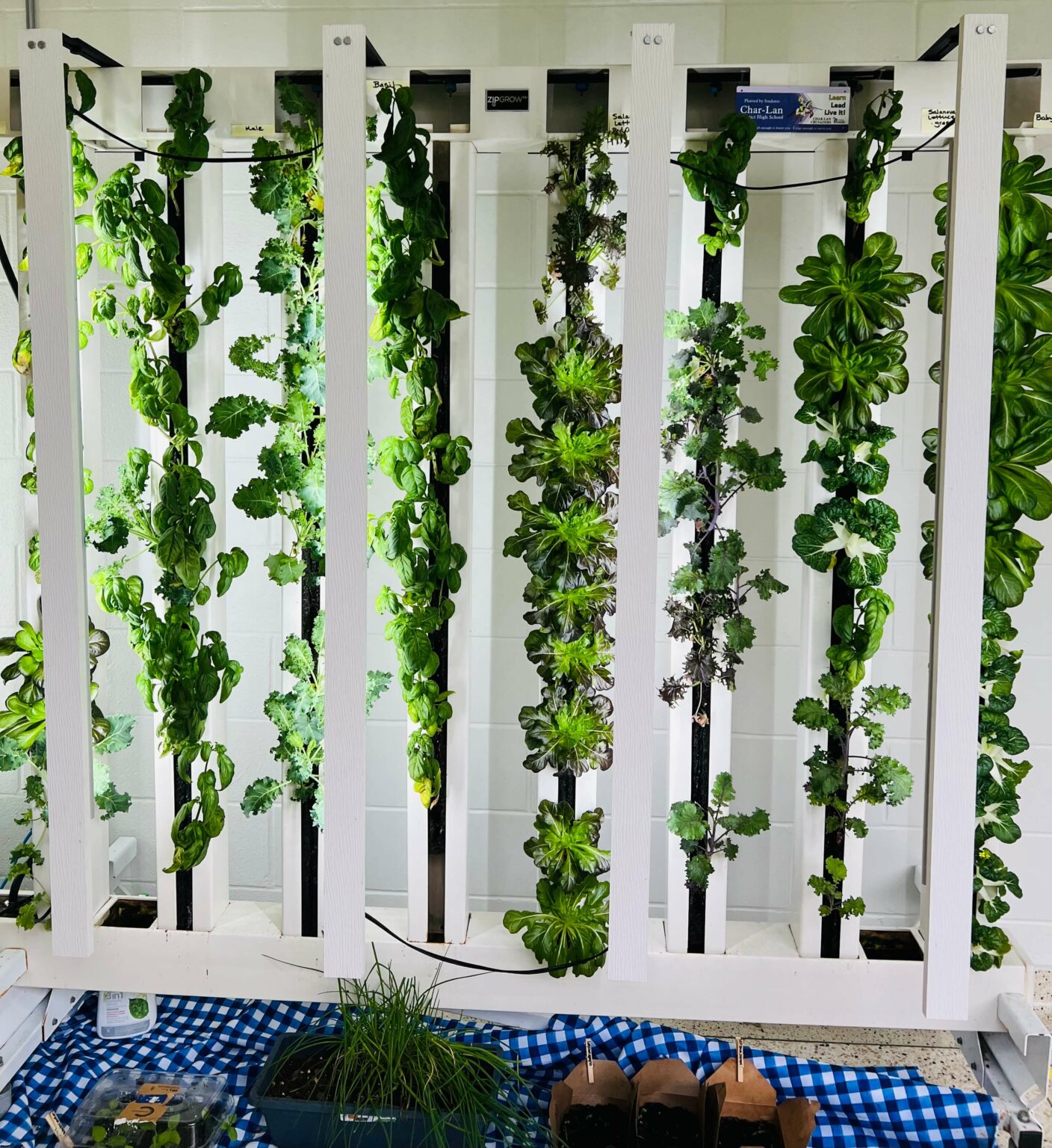 ZipGrow Education Rack | Hydroponics Systems for Schools
