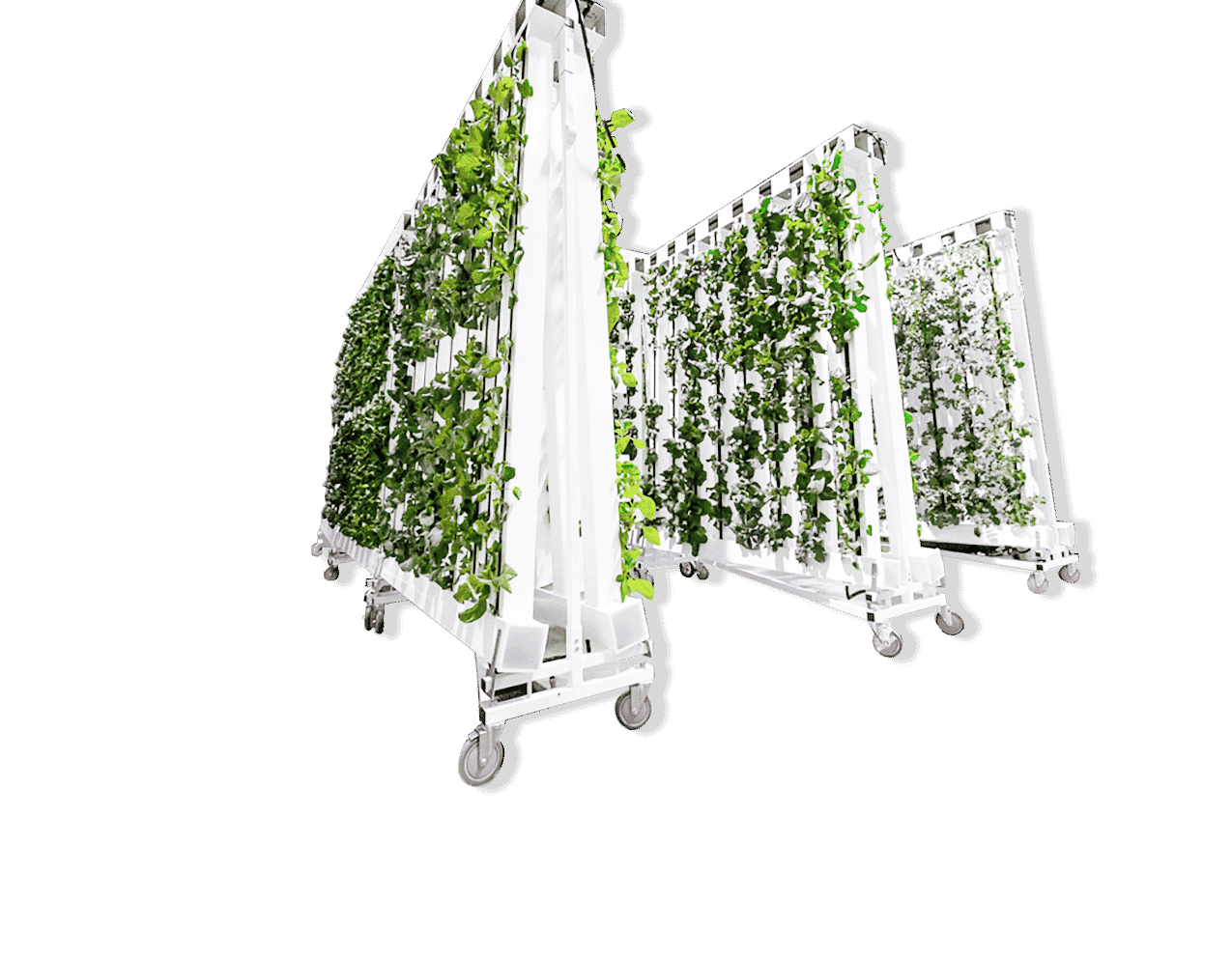 Agricultural Educators, Schools & Training Centres | ZipGrow