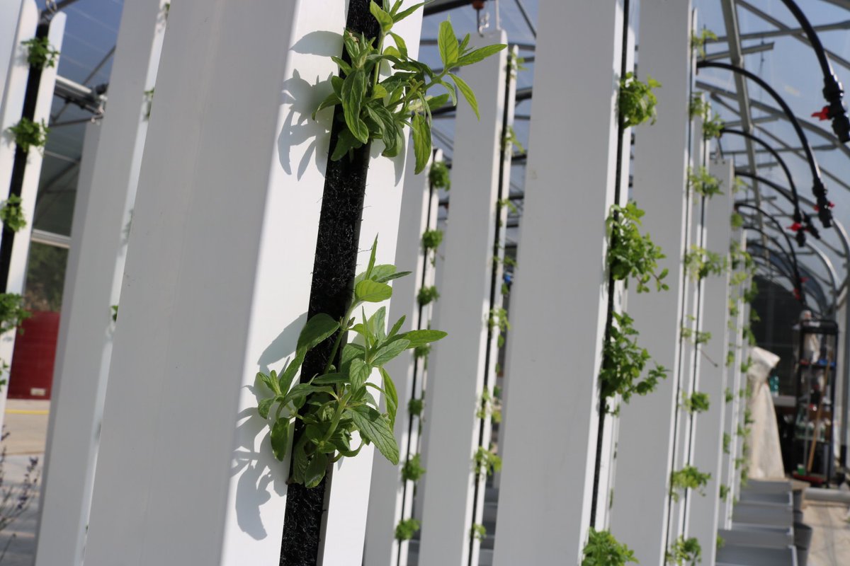 What is a ZipGrow™ Tower? | ZipGrow Inc.