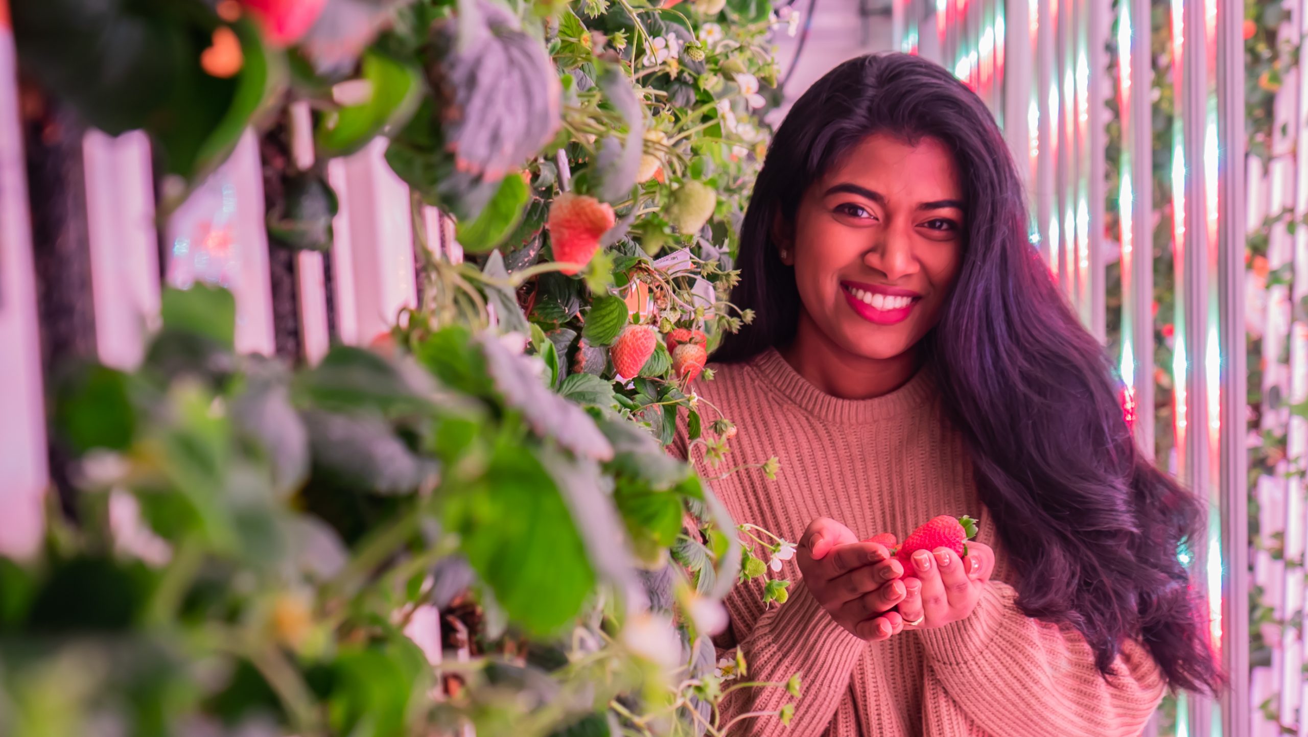 4 Reasons Why Local Food is Trending | ZipGrow Inc.