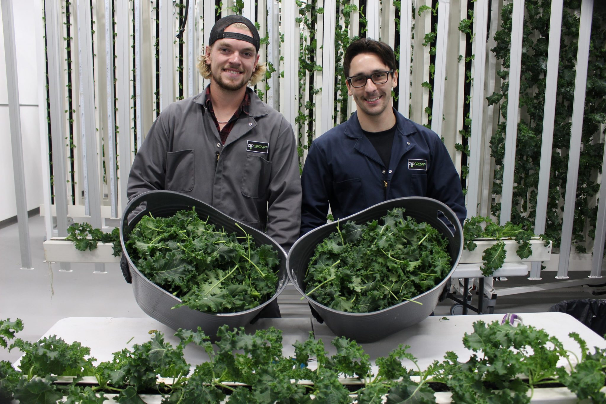 Three Doors Down - ZipGrow’s R&D focused ZipFarm | ZipGrow Inc.