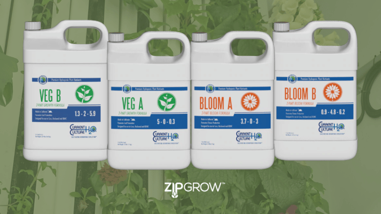 Flower Power in Hydroponic Towers | ZipGrow Inc.