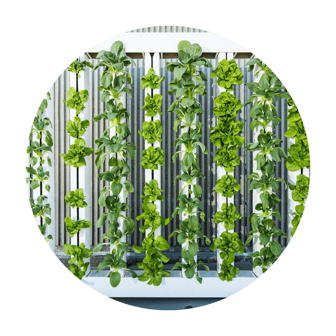 Shop ZipGrow Vertical Indoor Farming Systems & Products | Shop Online